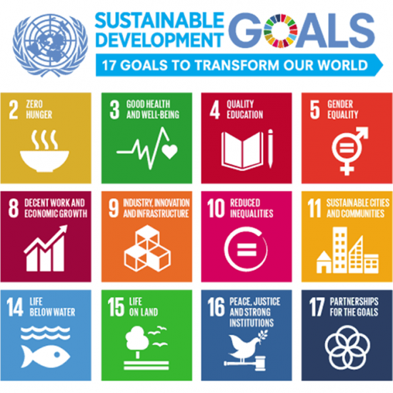 How to Teach Children the United Nations Sustainable Development Goals ...